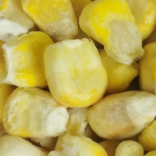 Freeze Dried Sweet Corn Supplier_Manufacturer_Trader - Shandong ...